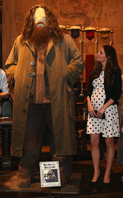 The Royal Family Meets Harry Potter! | Young Hollywood