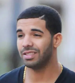 Drake posts police incident video online | Young Hollywood