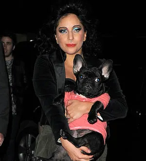 Lady Gaga pole dances at bachelorette party | Young Hollywood