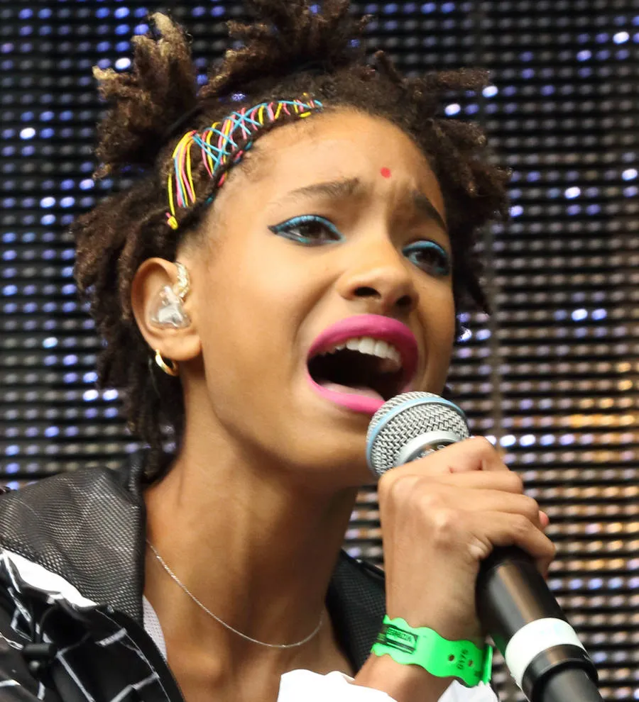 Willow Smith releases surprise debut album | Young Hollywood