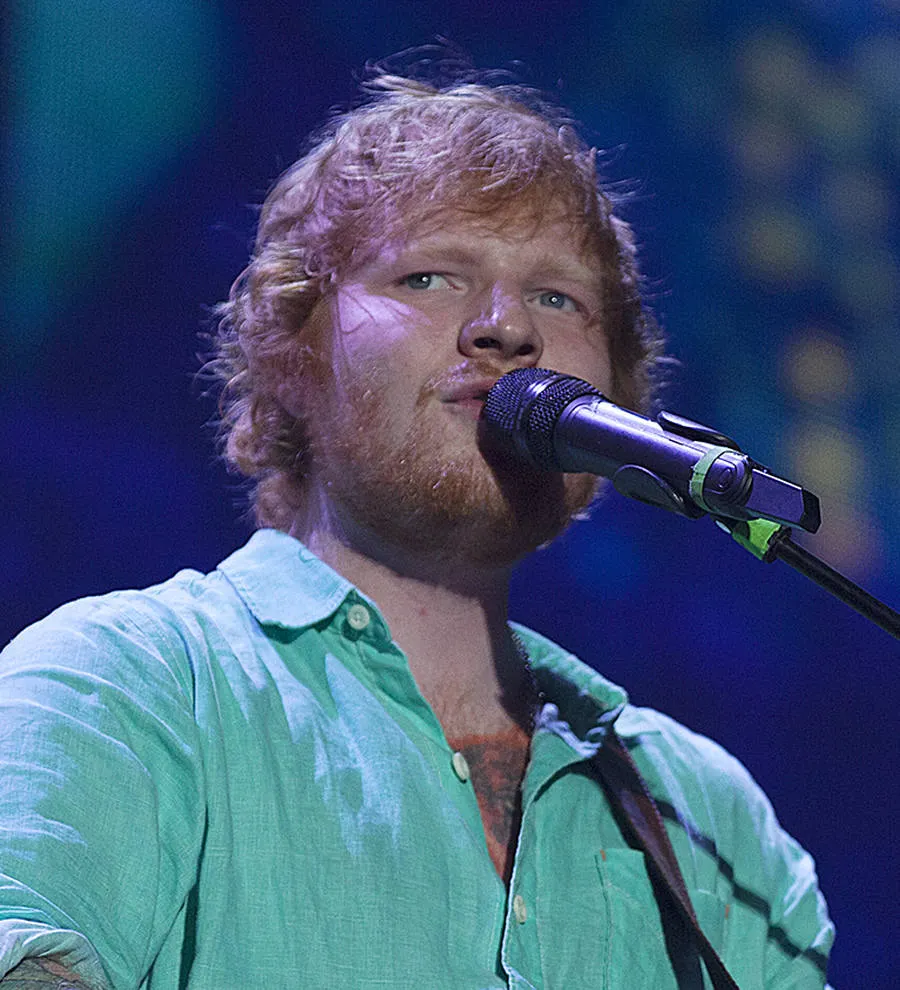 Ed Sheeran has fans guessing with wedding ring photo | Young Hollywood