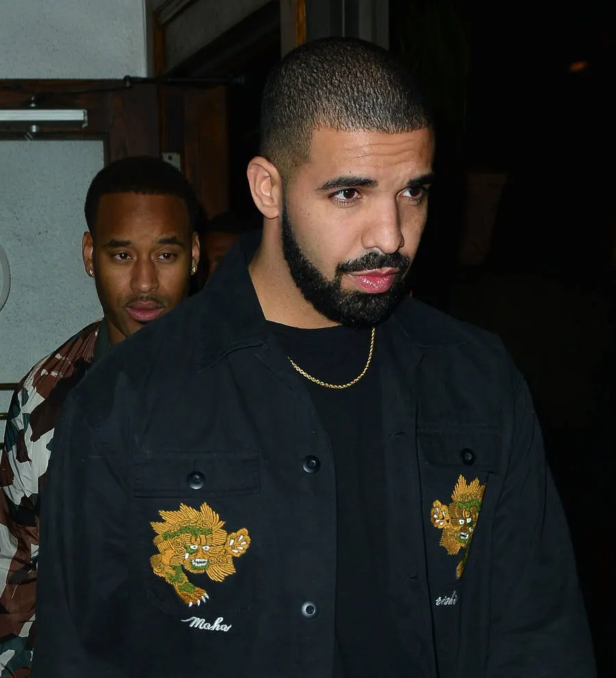 Drake joins dvsn for surprise Canada Day performance | Young Hollywood