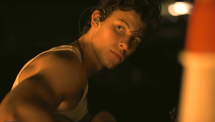 From Vine To The Big Stage: Netflix's Shawn Mendes Documentary! | Young ...